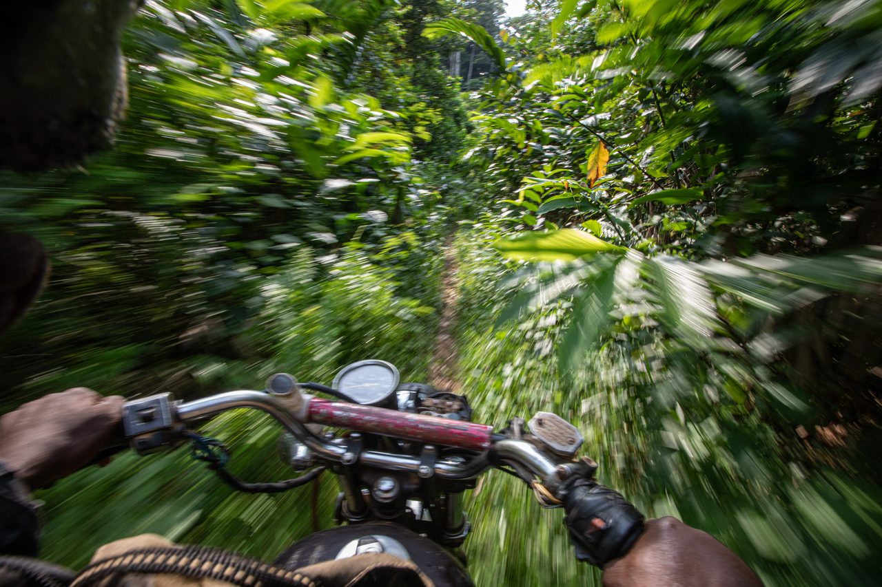 Protecting wildlife, protecting ourselves. An outlook on the EBO-SURSY ...