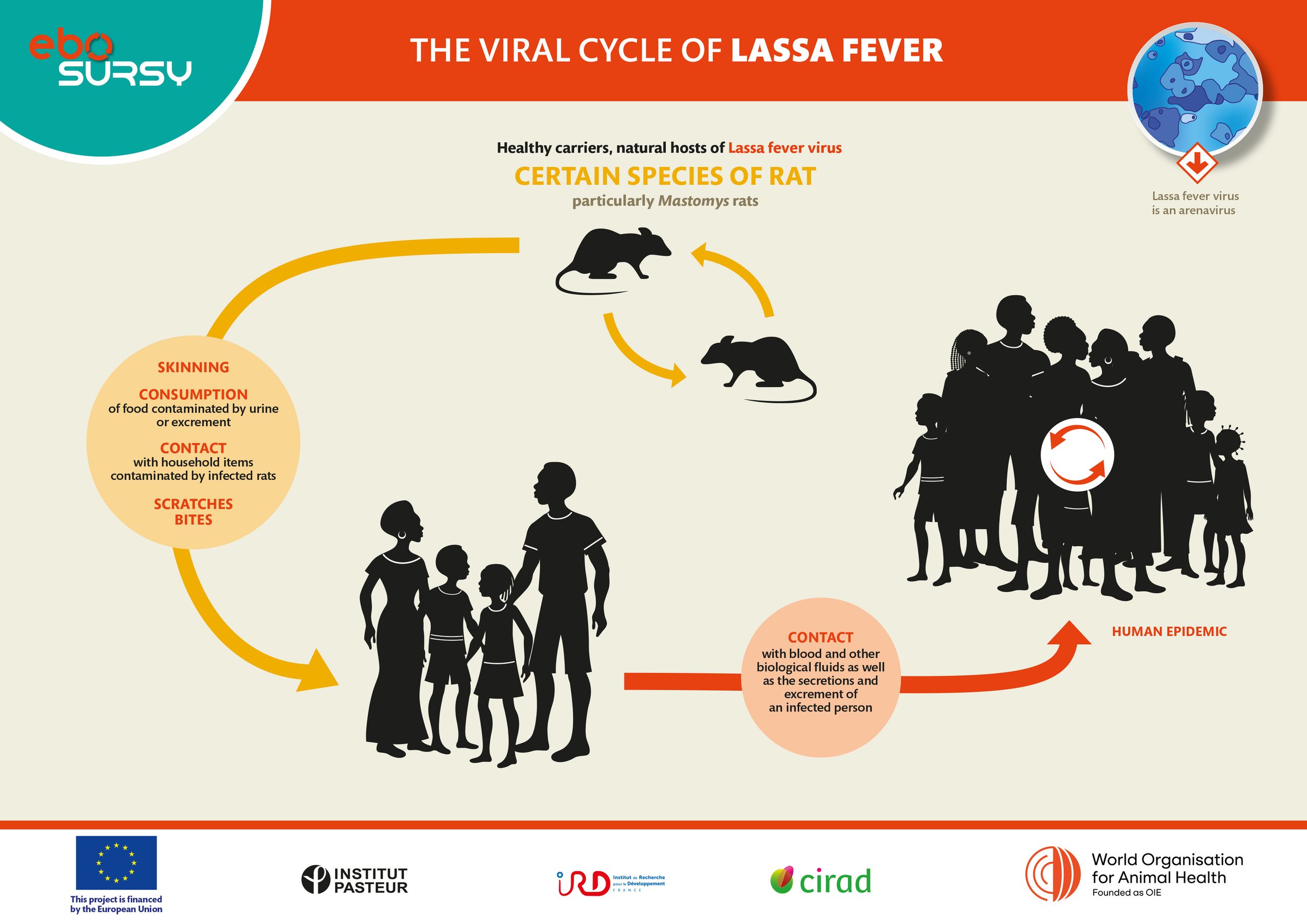 Protecting wildlife, protecting ourselves. An outlook on the EBO-SURSY ...