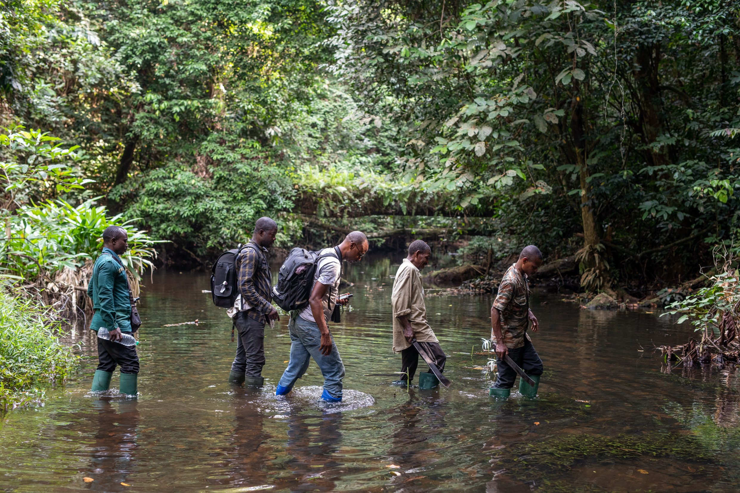 Protecting wildlife, protecting ourselves. An outlook on the EBO-SURSY ...
